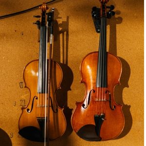 ヴァイオリンとヴィオラの違いは何？魅力や楽器を始められる年齢も解説 | Musica per Adulti